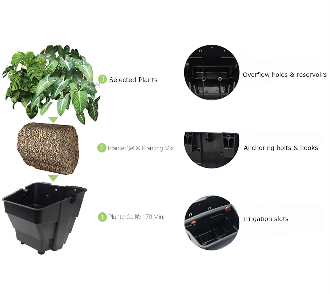 PlanterCell® 170 Mini tray | Palm Landscape
